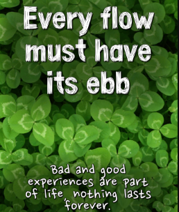 ¿Qué significa "every flow must have its ebb"? | Diccionario Inglés ...